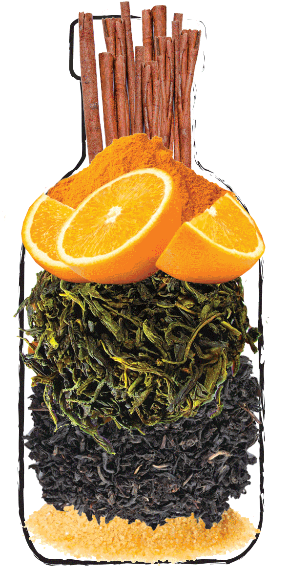 Kombucha BC 221